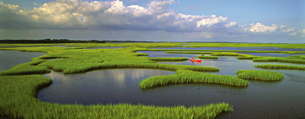 Berkeley Hall Club Membership and Club Information