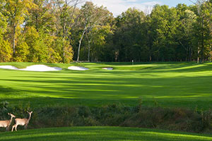 Showcase Clubs in Virginia | Golf Life Navigators