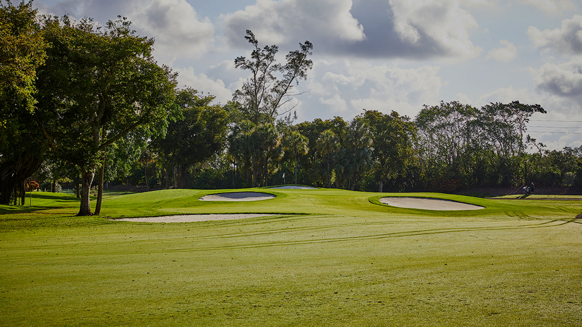 Golf Life Navigators | Discover Your Best-Matched Golf Club